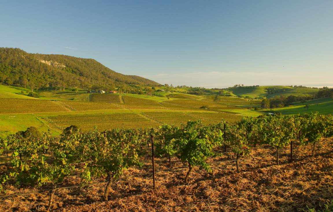Sydney, Hunter Valley & Blue Mountains | Australia | First Class Holidays